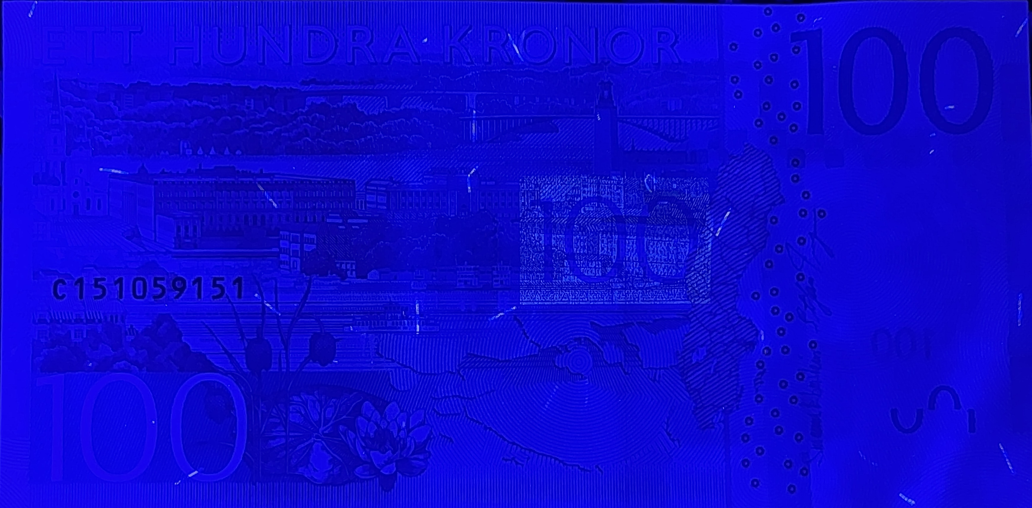 The 100 Krona: Taking Note of a Cultural Icon – The Paper Money Guy